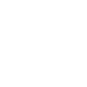 About Us – Computhink